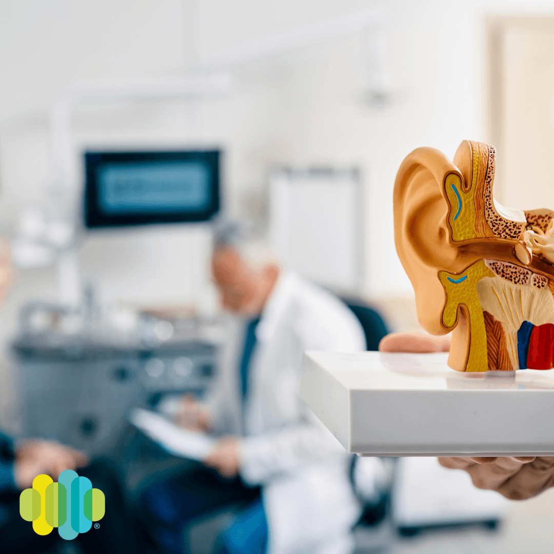 Mastering Patient Communication: Tips for Hearing Health Professionals - AHIP | Help Me Hear